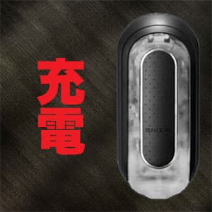 電動TENGA使ってみた感想をお届け！フリップゼロ ELECTRONIC VIBRATION BLACK | コンドーム大百科